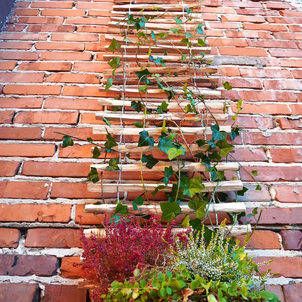 Vingo Závěsná opora pro popínavé rostliny - žebřík, 100 x 200 cm