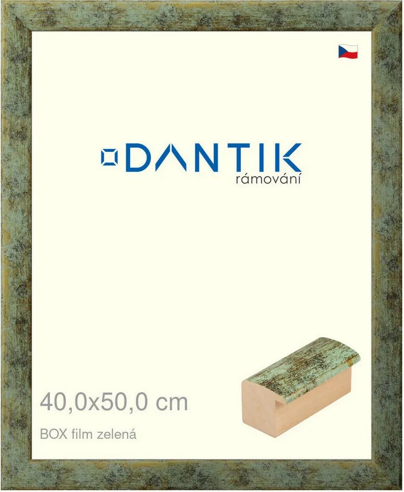DANTIK rámeček 40x50 | BOX filmzelená (Sklo Čiré)