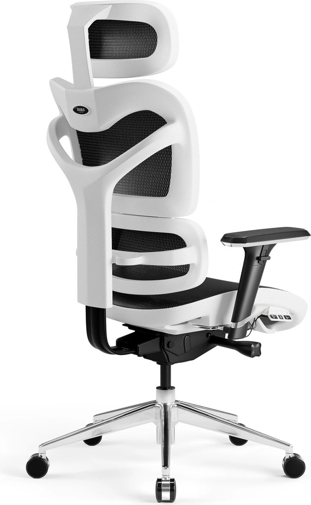 Ergonomická kancelářská židle, bílo-černá: Diablo V-Commander