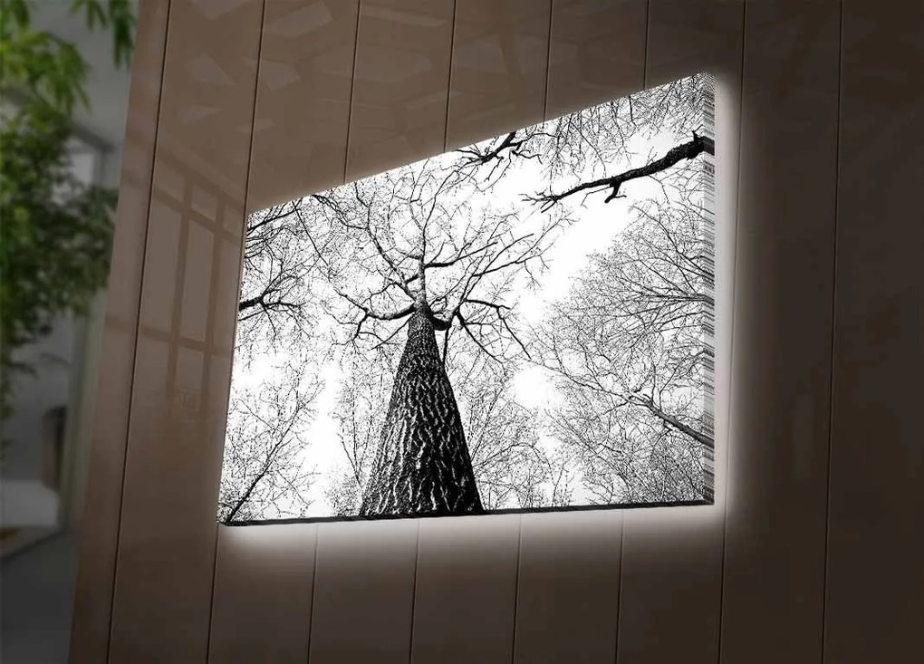 Obraz s LED osvětlením KORUNA STROMU 68 45 x 70 cm