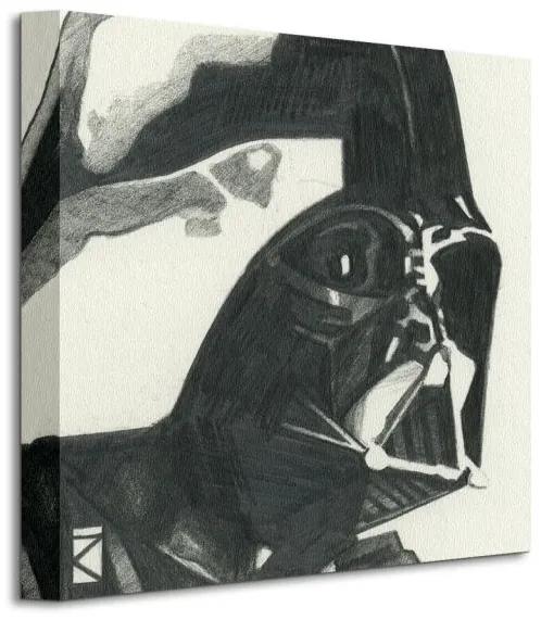 Obraz na plátně Star Wars Darth Vader Sketch 30x30cm WDC91219