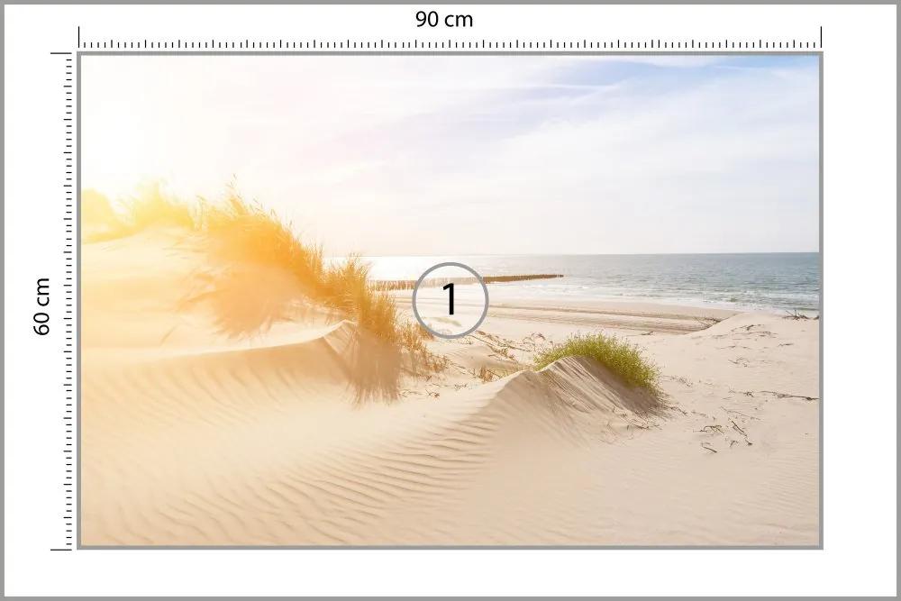 Fototapeta Pláž Mořské Duny Omyvatelný vlies 152.5x104