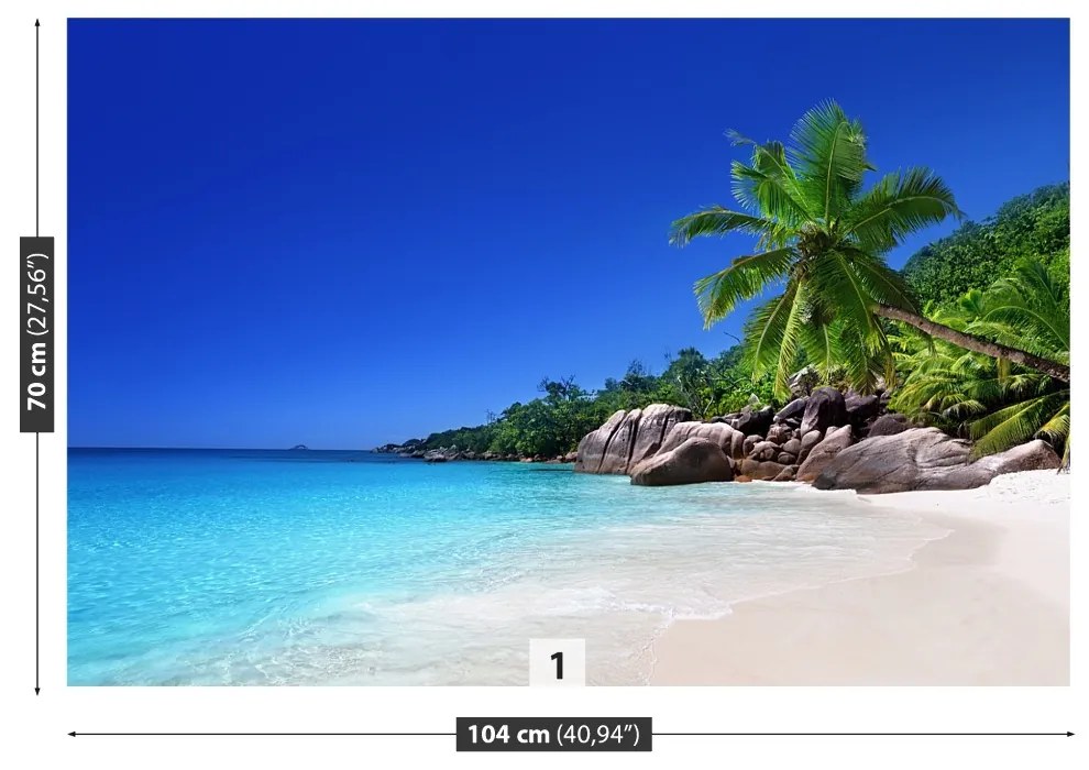 Fototapeta Seychelská pláž 104x70