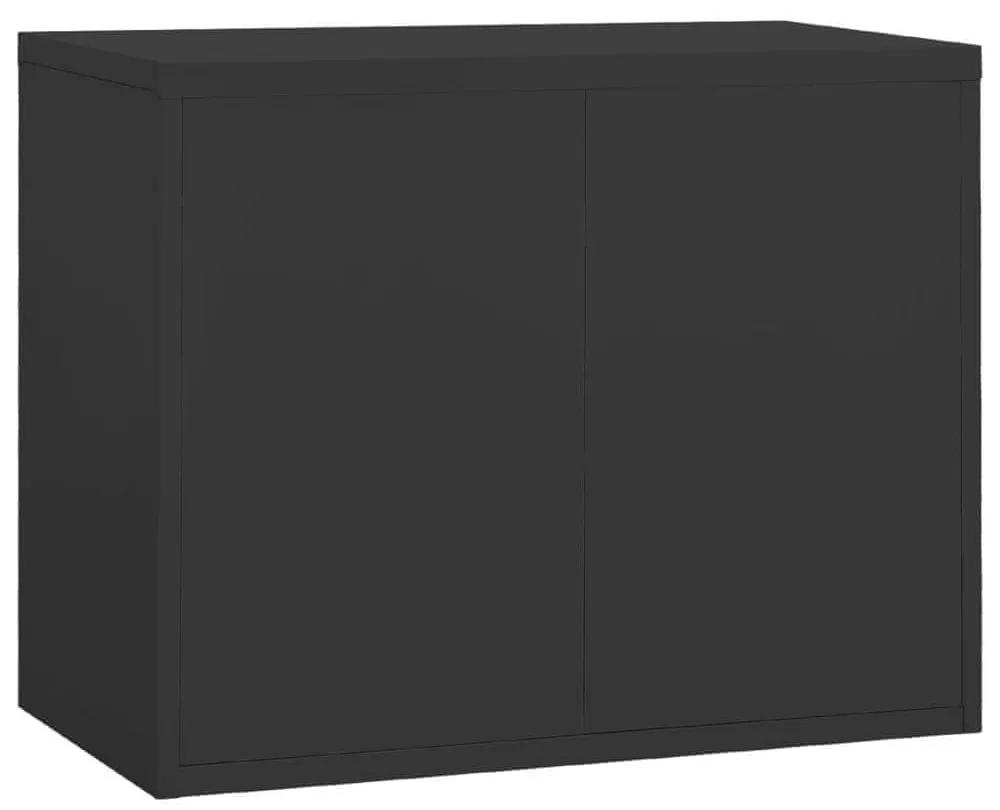 Petromila Kancelářská skříň antracitová 90 x 46 x 72,5 cm ocel