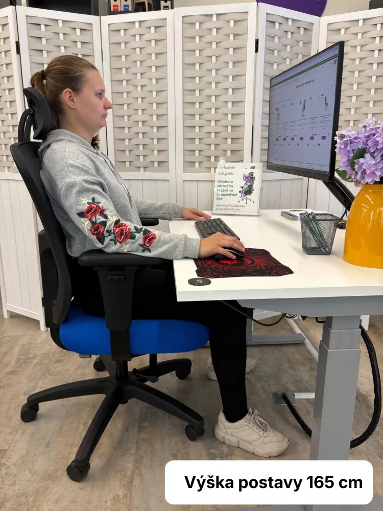 Office Pro Kancelářská ergonomická židle NATUS Q24 – síťovaná, nosnost 180 kg, záruka 3 roky modrá