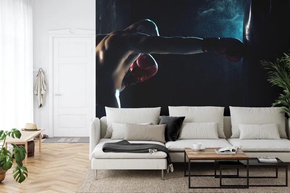 Fototapeta Školení Boxer Ve Stínu Hladký vinyl 254x184