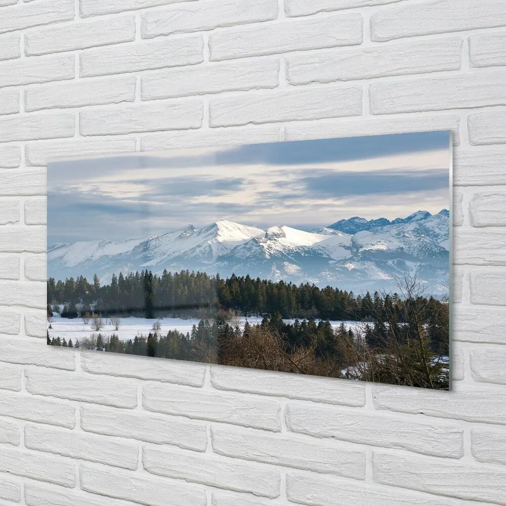 Obraz na skle horské zimní 140x70 cm
