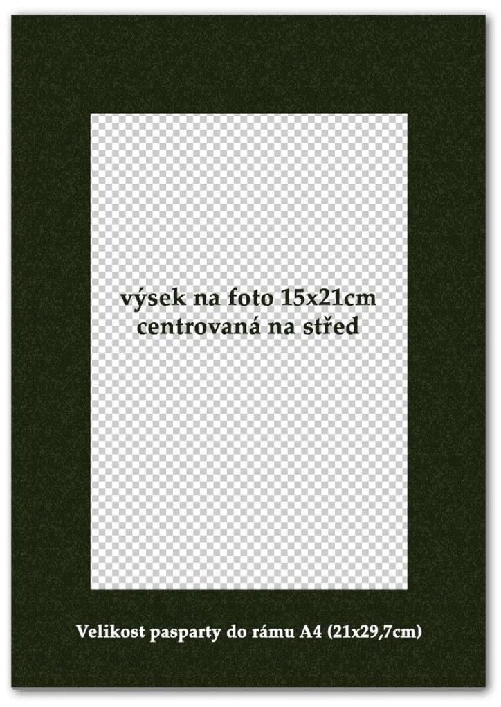Pasparta do rámečku 21x30cm Velikost: 21x30cm, výsek: 17x23cm (pro foto 18x24cm), Barva pasparty: Černá
