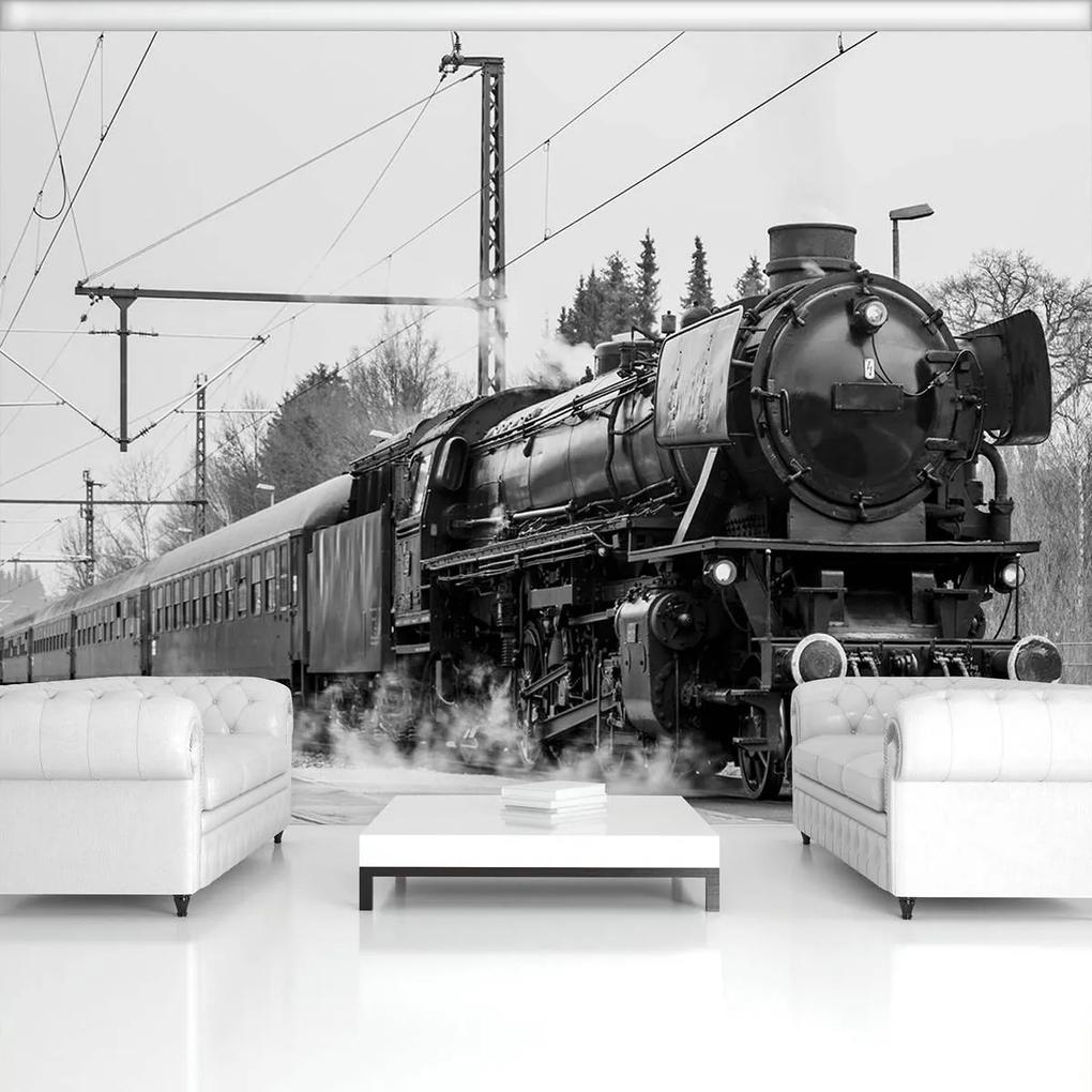 Fototapeta - Parní lokomotiva (152,5x104 cm)