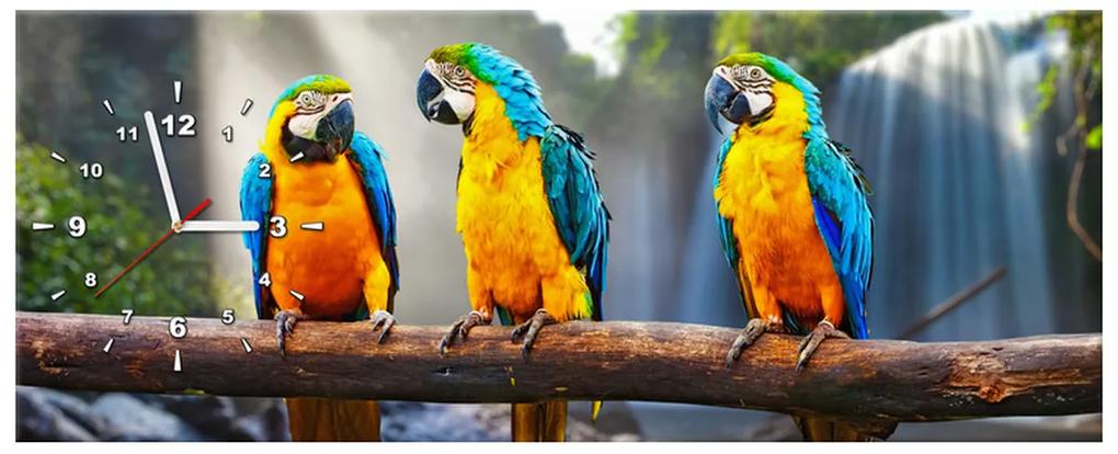 Gario Obraz s hodinami Barevní papoušci Rozměry: 100 x 40 cm