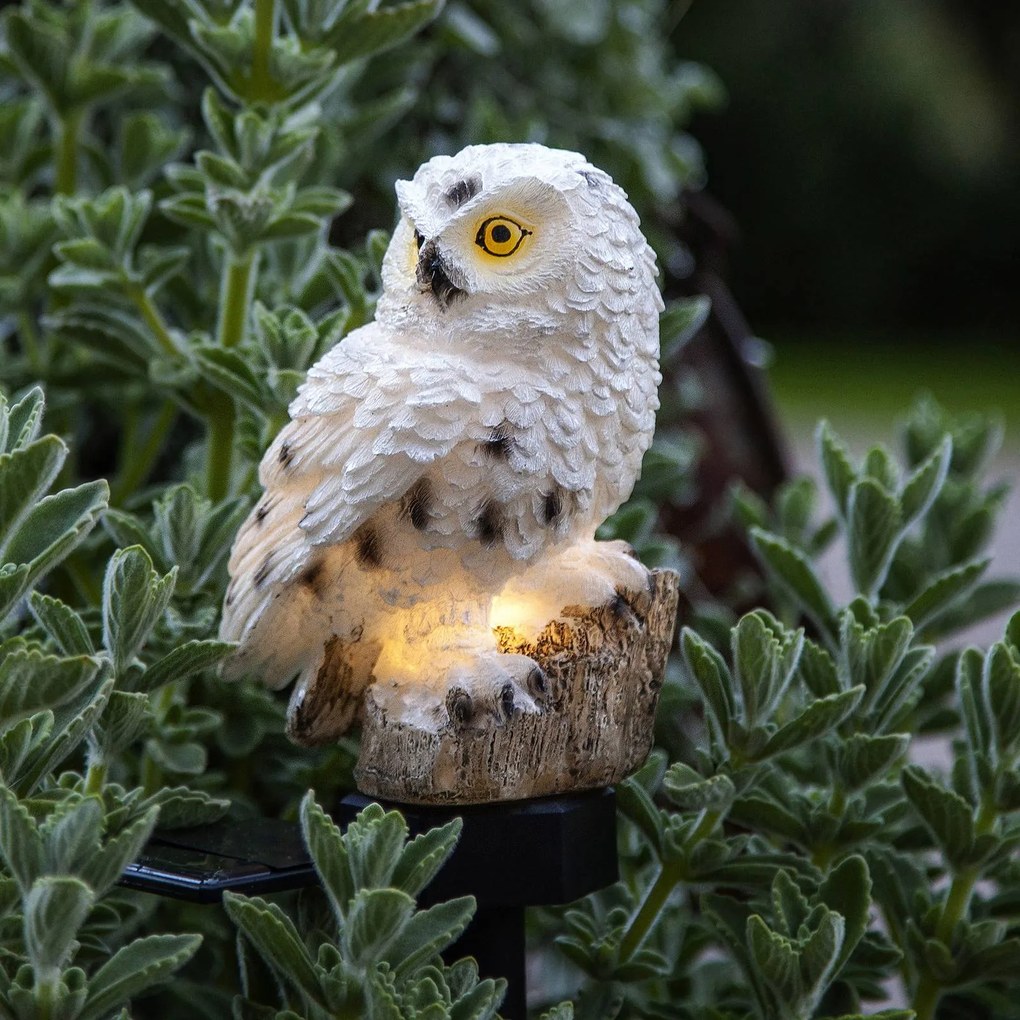 LED solární světlo Owl se zapichovacím hrotem