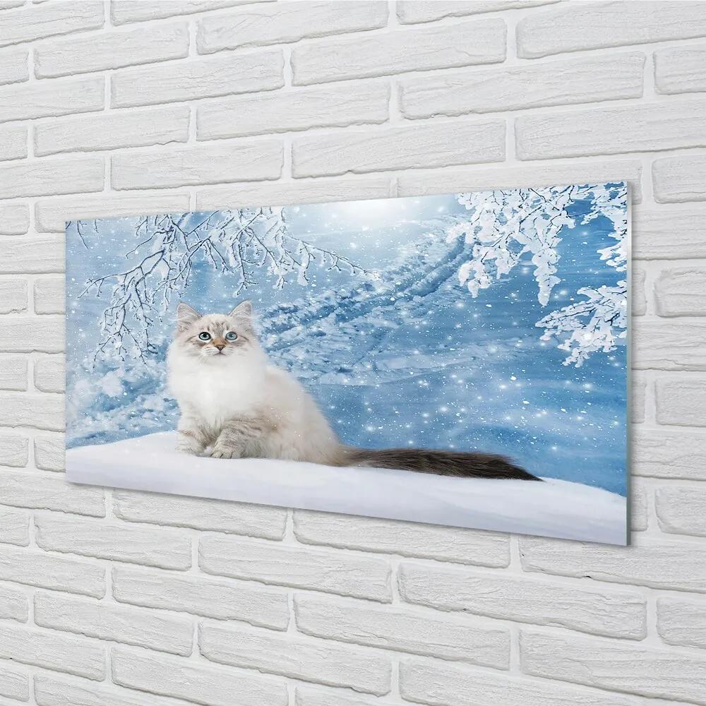 Obraz na skle kočka zima 140x70 cm