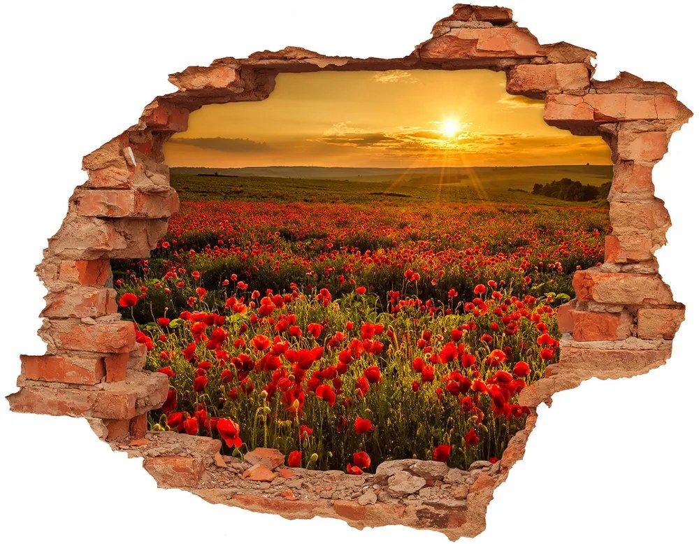 Wallmuralia Nálepka fototapeta 3D výhled Pole máků 90x70 cm