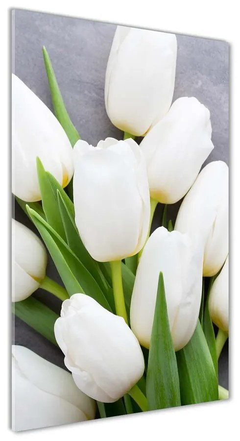 Wallmuralia Foto obraz fotografie na skle Bílé tulipány 70x140 cm