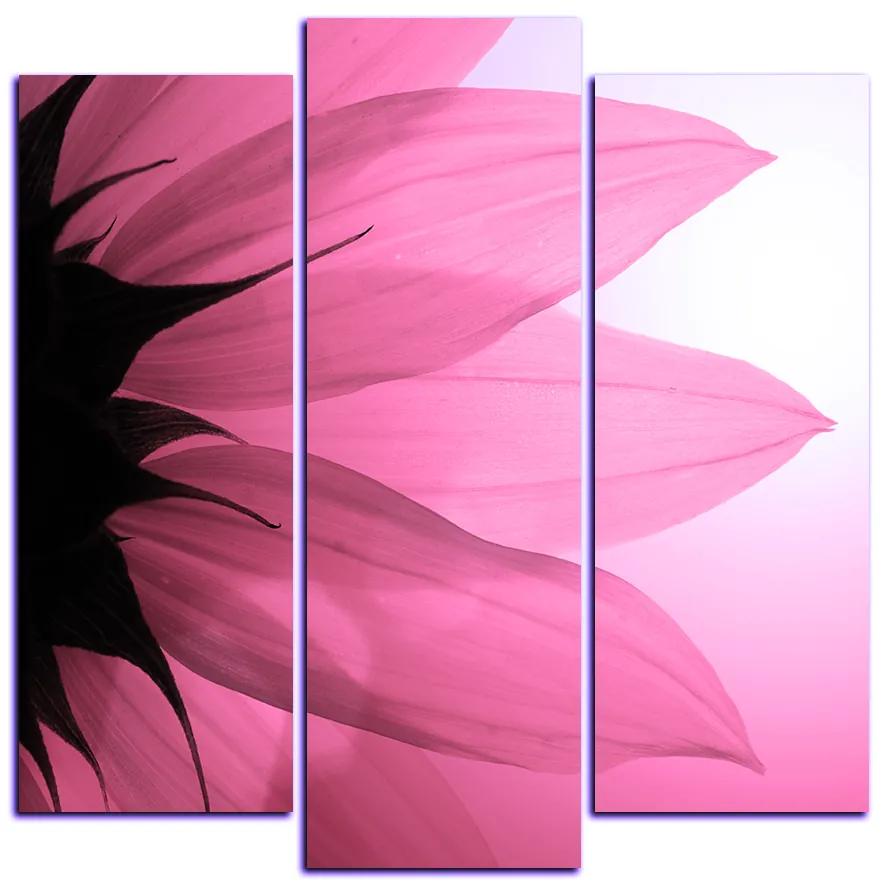 Obraz na plátně - Slunečnice květ - čtverec 3201VC (105x105 cm)