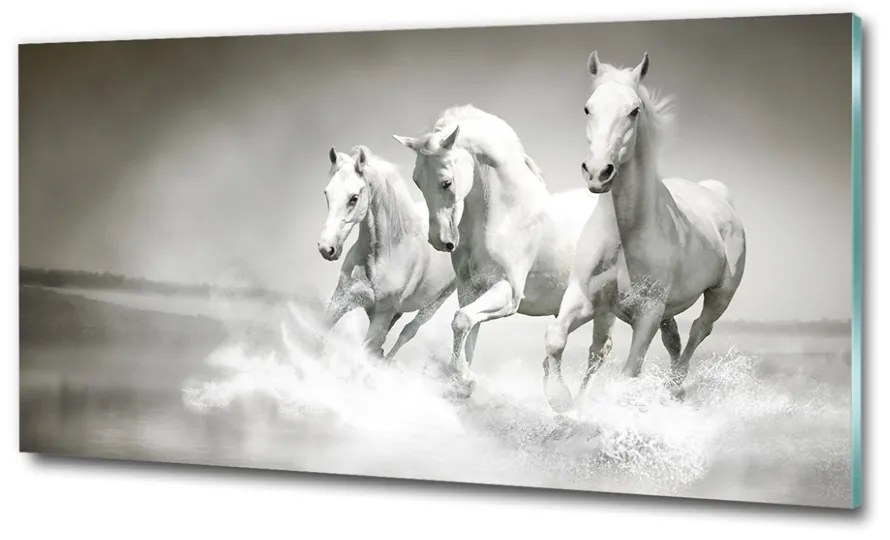 Wallmuralia Foto obraz fotografie na skle Bílí koně 100x50