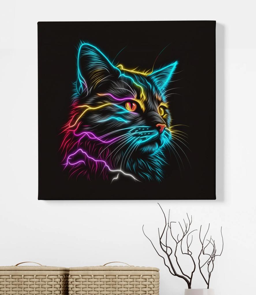 Obraz na plátně - Barevná zářící kočka FeelHappy.cz Velikost obrazu: 80 x 80 cm