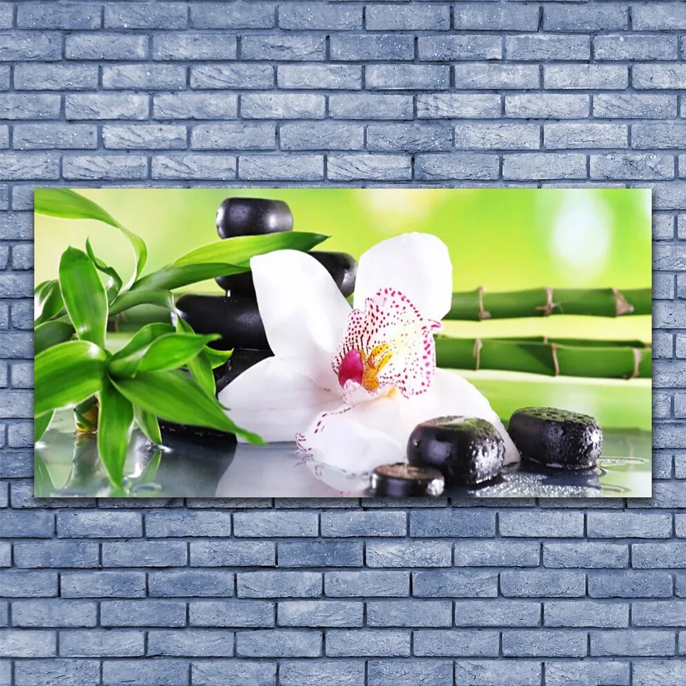 Plexisklo-obraz Orchidej Kameny Zen Bambus 120x60 cm