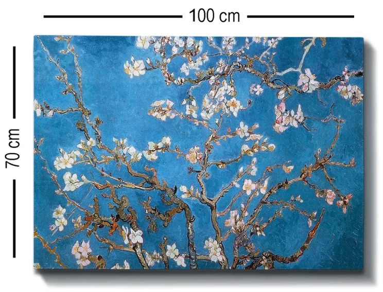 Obraz BLOSSOM 70 x 100 cm