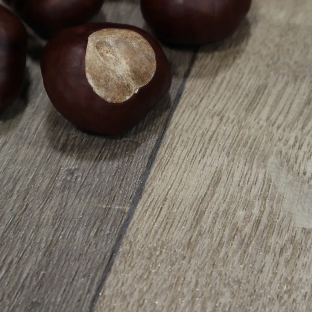 Beauflor, PVC podlaha - lino Texalino Supreme 997 D Valley Oak - dub, na míru, šíře 2m,3m,4m,5m, hnědá, filc, chodba / předsíň