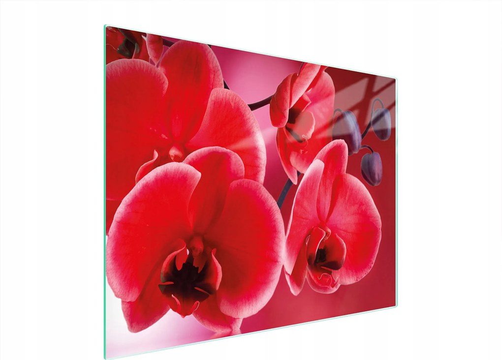 Skleněná Krájecí Deska 52x40 Orchidej Tvrzené Sklo