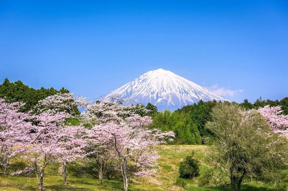 Samolepící fototapeta sopka Fuji - 225x150 cm