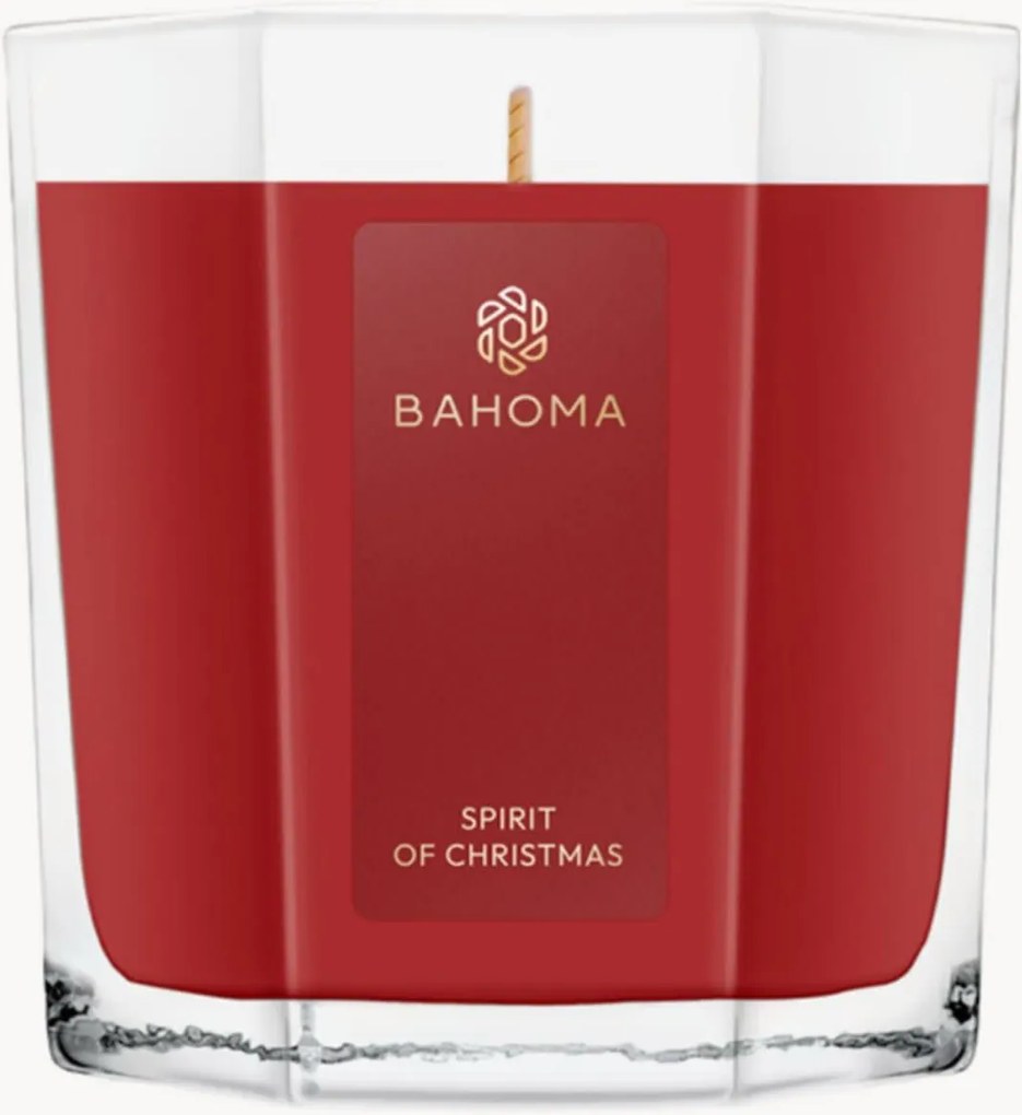 Vonná svíčka Spirit Of Christmas (černý rybíz, skořice)