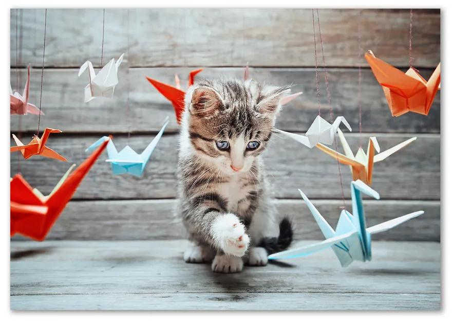 Wallmuralia Fotoobraz na skle Kočka ptáci z papíru 100x70 cm