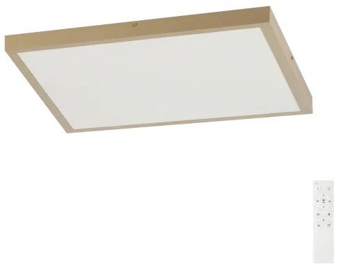 Brilagi -LED Stmív. koupelnové svítidlo FRAME SMART LED/50W/230V 60x60 IP44 + DO
