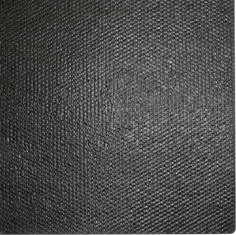 vidaXL Rohožka před dveře černá 100 x 300 cm kokosové vlákno [155582]