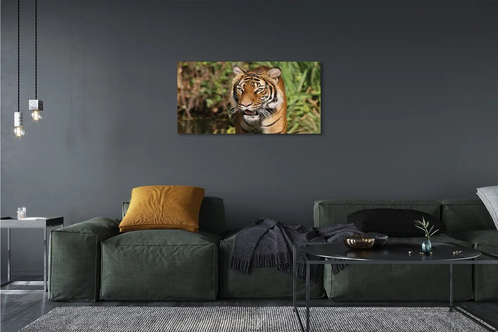 Obrazy na plátně Tiger Woods 125x50 cm