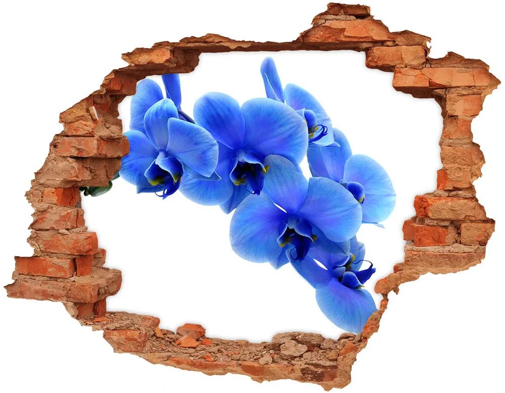 Wallmuralia Samolepící díra nálepka Modrá orchidej 90x70 cm