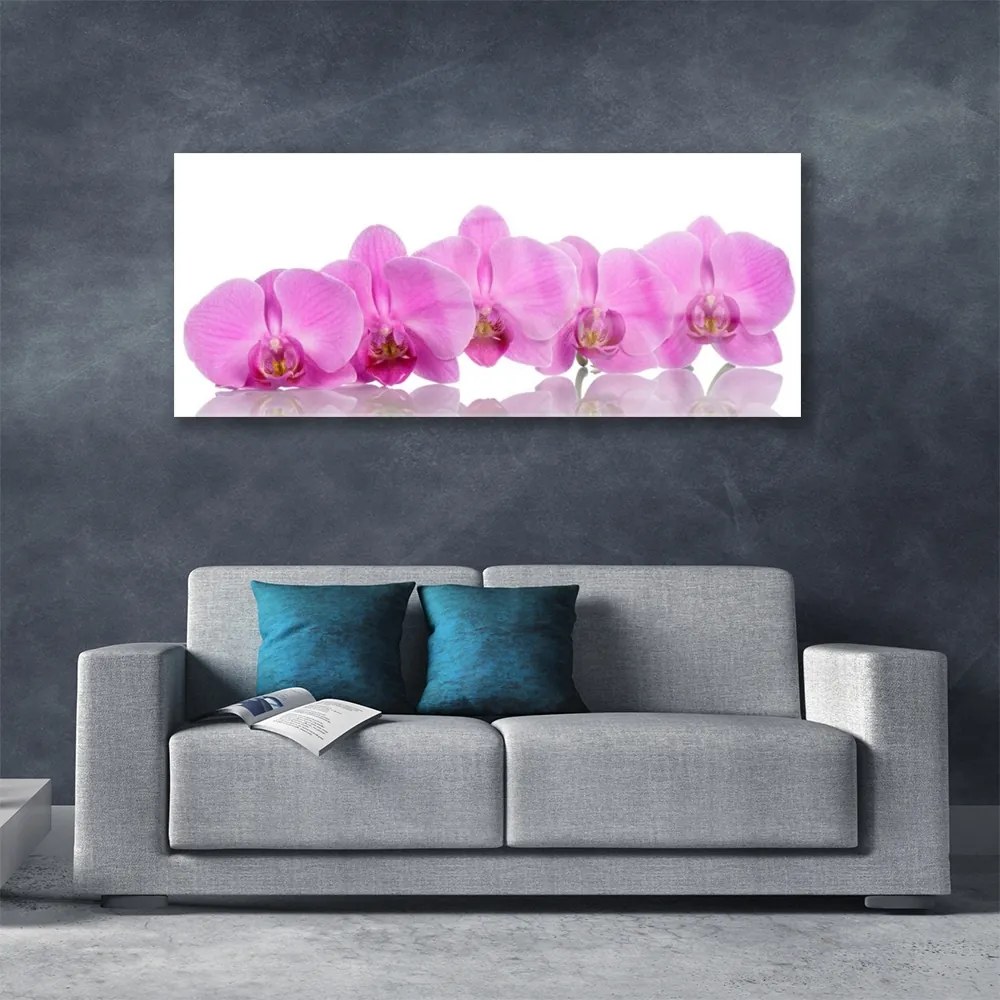Plexisklo-obraz Růžová Orchidej Květiny 125x50 cm