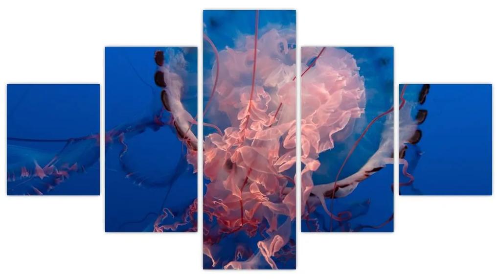 Obraz medůzy (125x70 cm)