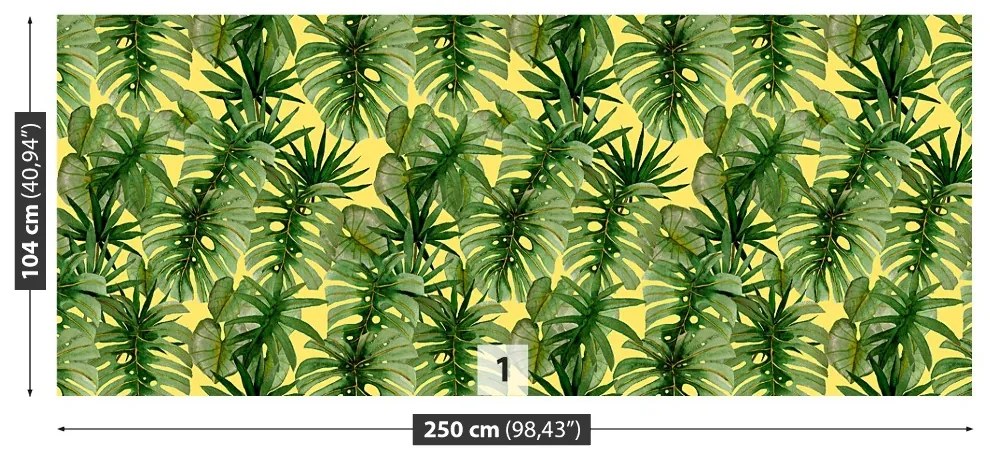 Fototapeta palma monstera 104x70