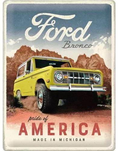 Postershop Plechová cedule: Ford Bronco (Pride of America) - 30x40 cm