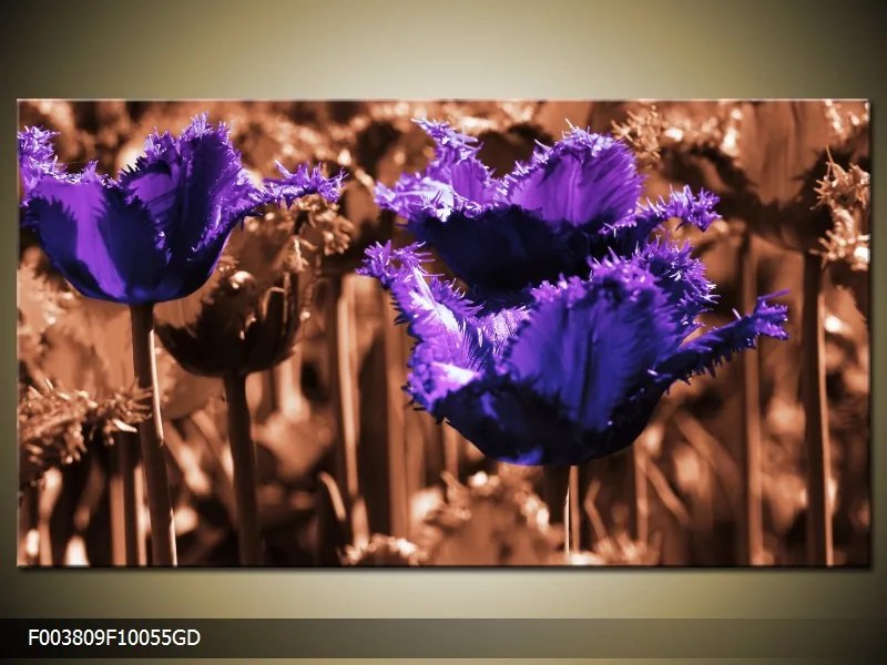 Obraz tří fialových květin  (), 40 dalších rozměrů