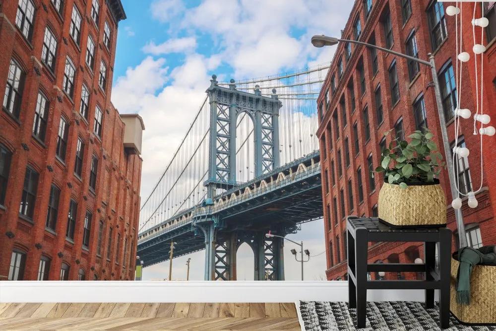 Fototapeta Bridge In New York City Strukturální vinyl 270x180