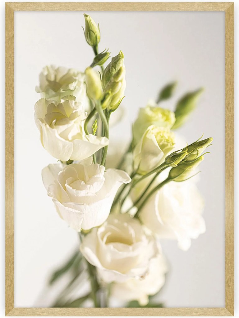 Plakát Elegant Flowers