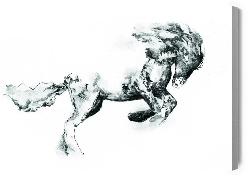 Obraz Kůň Jak Načrtnut Nedostatek Nedostatek Přírodní plátno 30x20