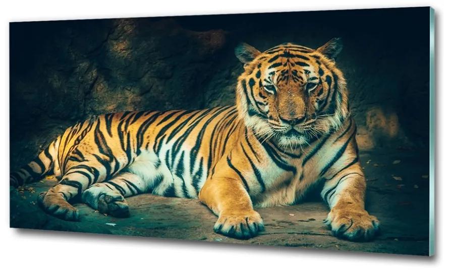 Wallmuralia Foto obraz skleněný horizontální Tygr v jeskyni 100x50