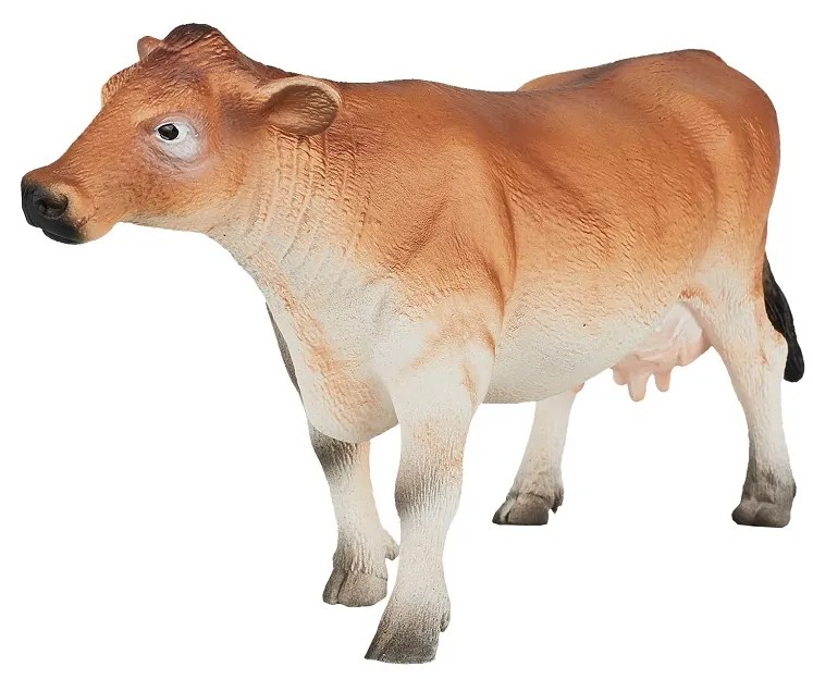 Mojo Jerseyská kráva