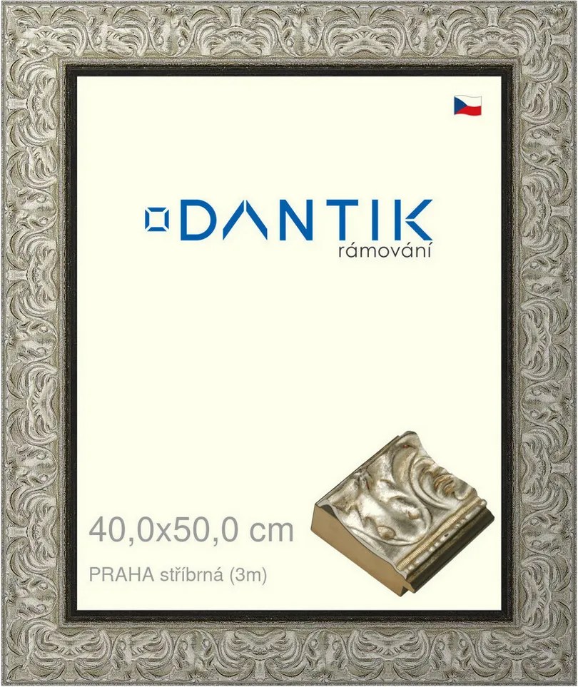 DANTIK rámeček 40x50 | PRAHA stříbrná (Plexi Čiré)