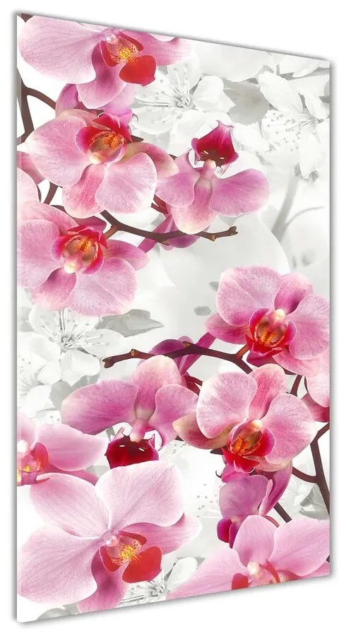 Wallmuralia Fotoobraz na skle Růžová orchidej 60x120 cm