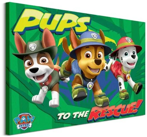 Obraz na plátně Paw Patrol (Pups To The Rescue) 80x60cm WDC100165