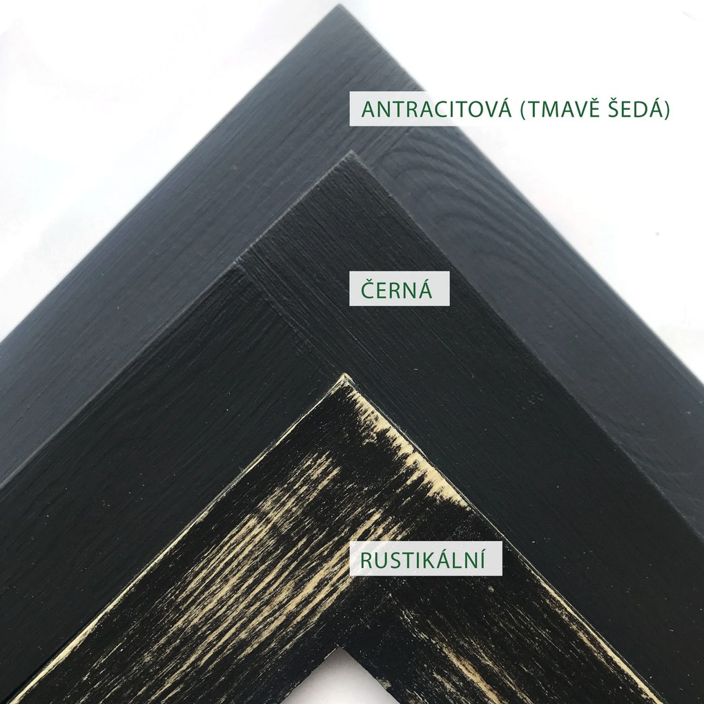 WOODILO Mechový obraz v  rámu z masivu 215 | kopečkový mech Rozměr obrazu: 100x100 cm, Barva rámu: Rustikální (černá oprýskaná), Síla rámu (pohledová): 4,5 cm