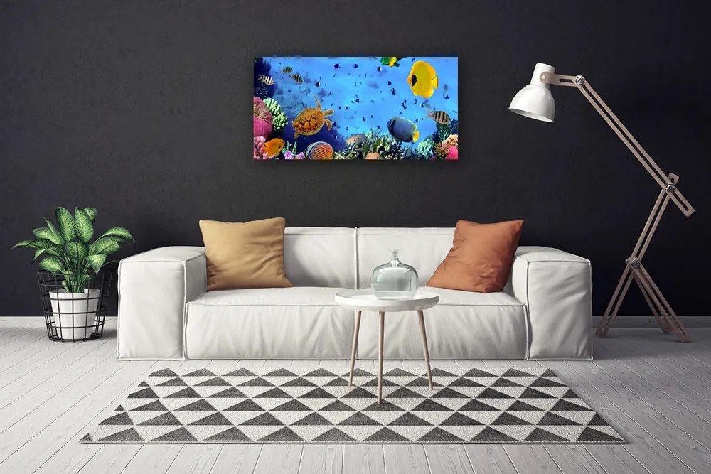 Obraz na plátně Korálový Útes Ryba Příroda 100x50 cm