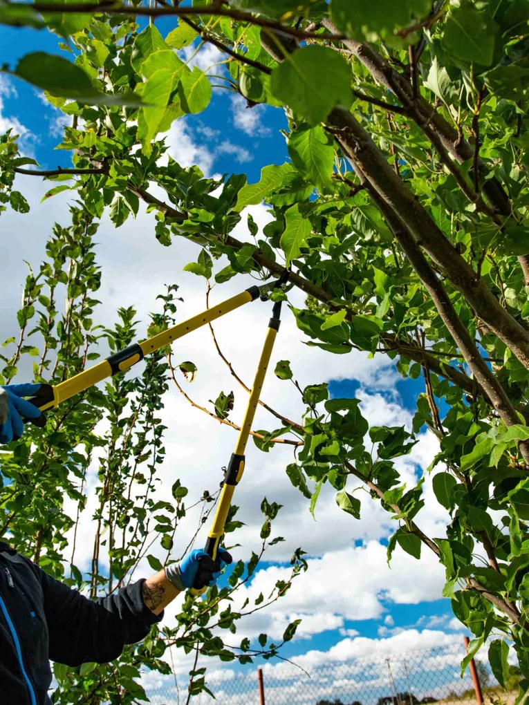 Nůžky na větve teleskopické pákové GEKO, 655-900 mm