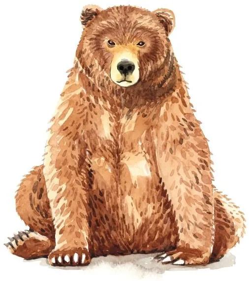 Plakát Medvěd důstojník