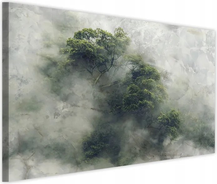 Obraz na plátně Obrazy dekorace do obývacího pokoje strom les mlha Zeleň 60x90 cm